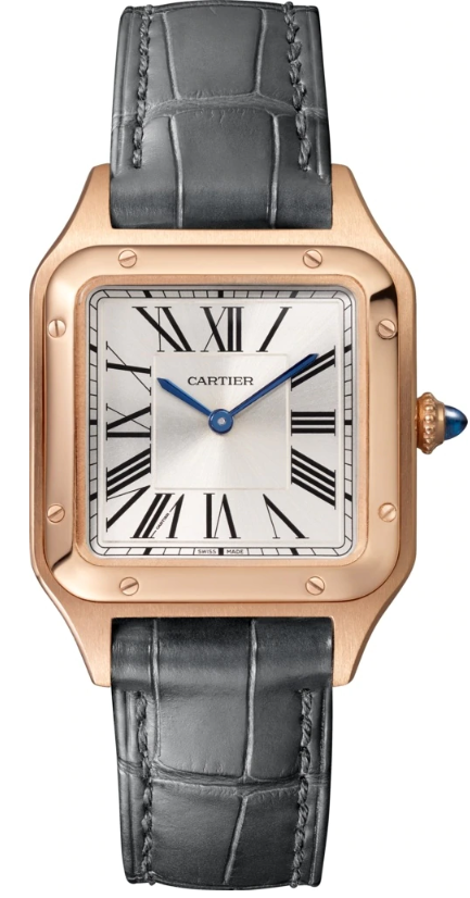 Часы Cartier Santos-Dumont WGSA0022 — купить в SWISSCHRONO.RU